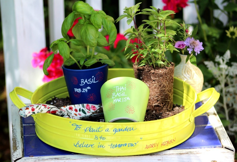 6mm Spring-a-Ling-a-Ding-Dong 6 Pack - Markers | Chalk Ink Markers